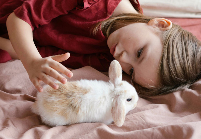 How to care for and comfort your rabbit during the colder months - Pets ...