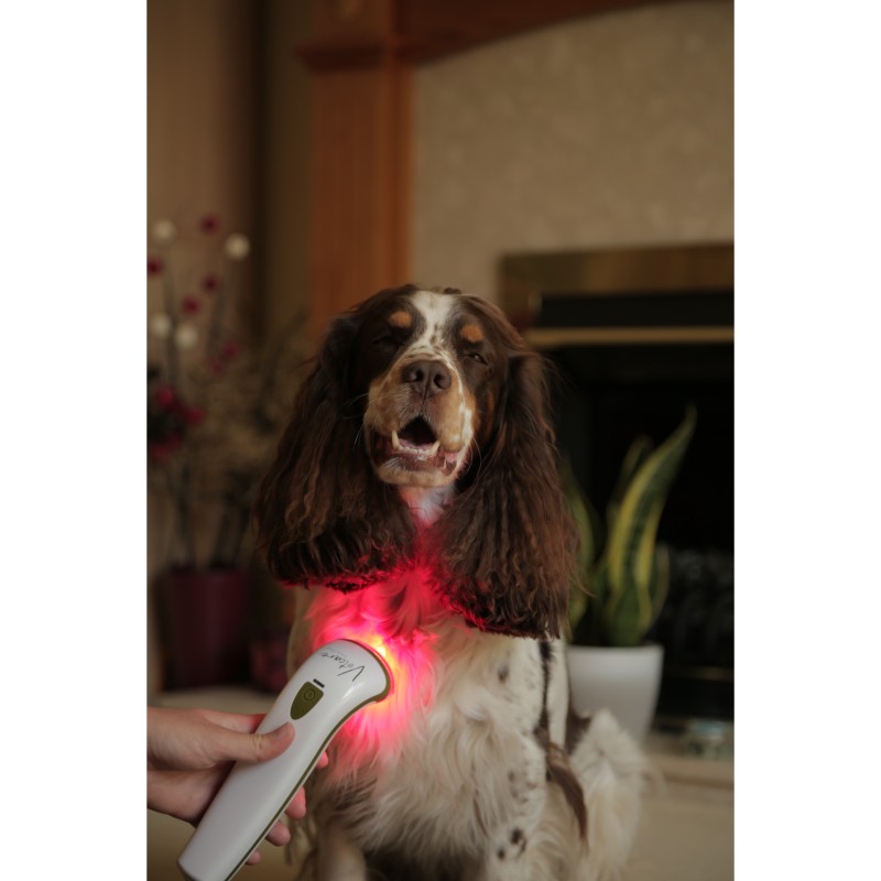 Photizo Vetcare Red Light Therapy Device - Pets.co.uk